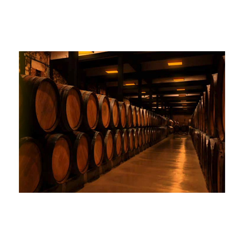 Dalle LED Technie-Lum Dado Mini plafonnier LED